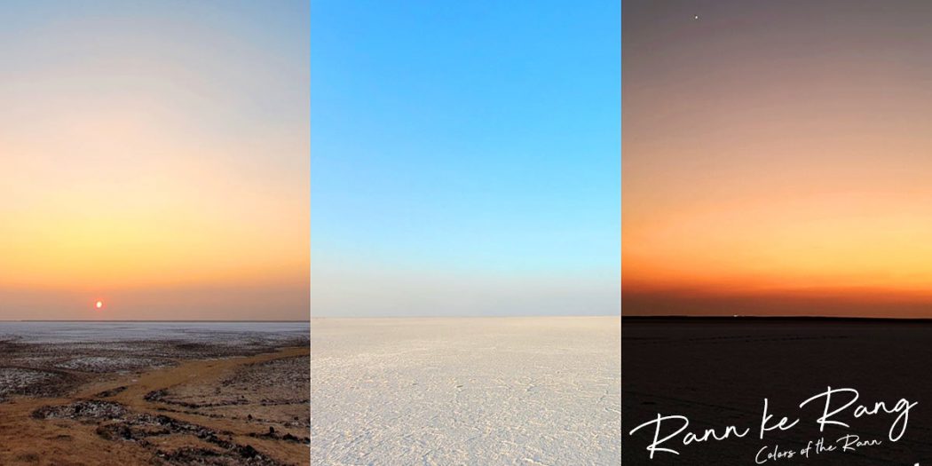 Essential Guide to White Rann - Dazzling Rann of Kutch - SocialMaharaj